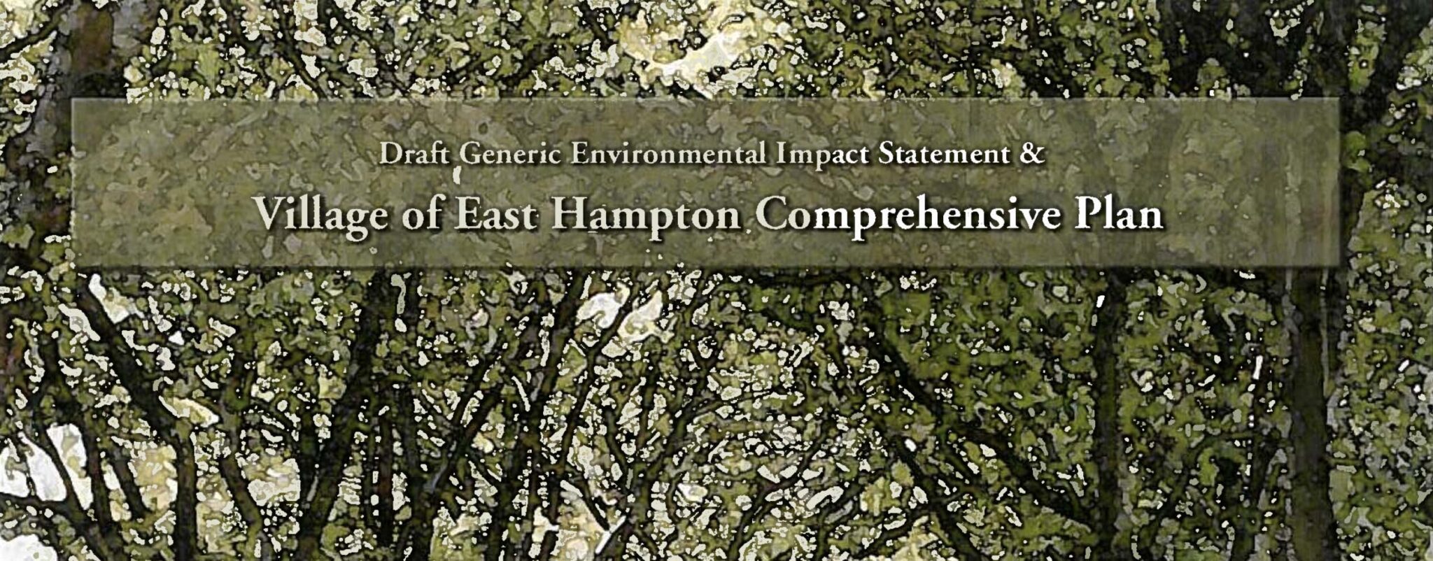 Comprehensive Plan Update – Village Preservation Society