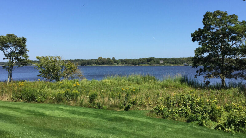 Friends of Georgica Pond Foundation – Village Preservation Society
